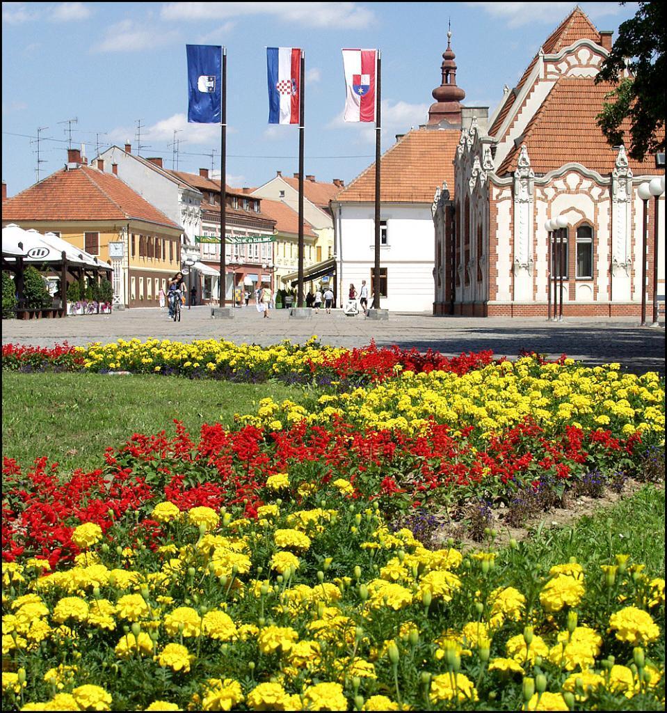 Čakovec najuređeniji grad kontinentalne Hrvatske