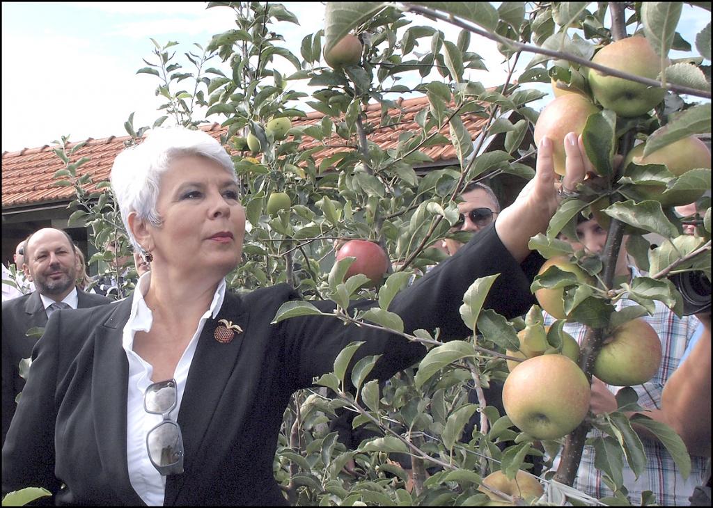 JOŠ JEDAN GAF: 'Trula jabuka' premijerke Kosor