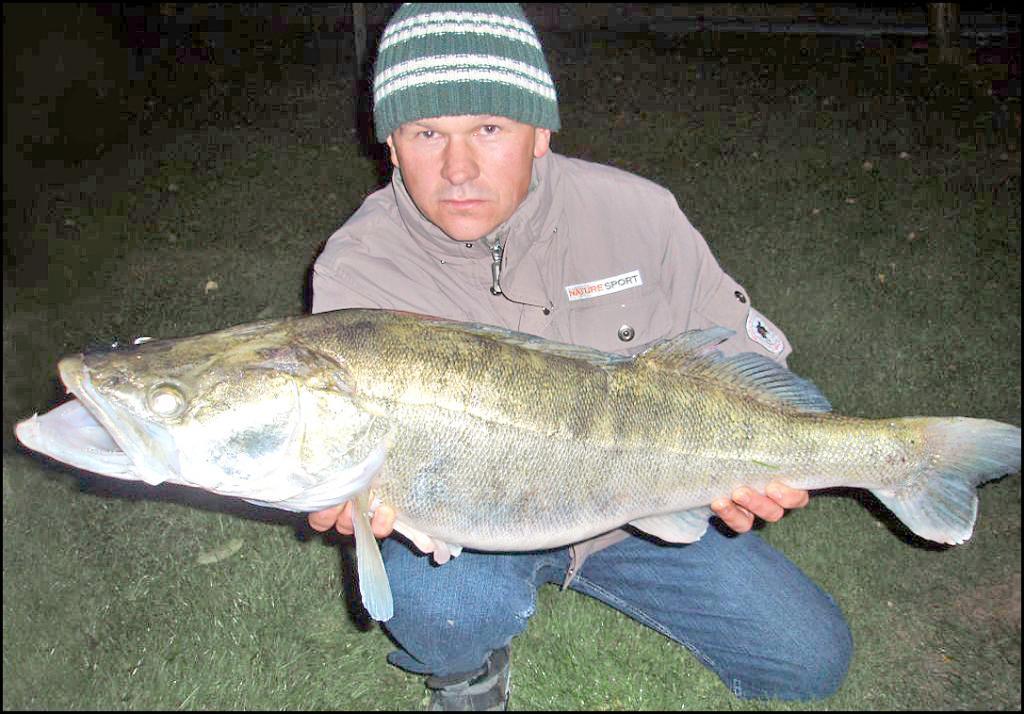 Mali Pepsi i veliki smuđ