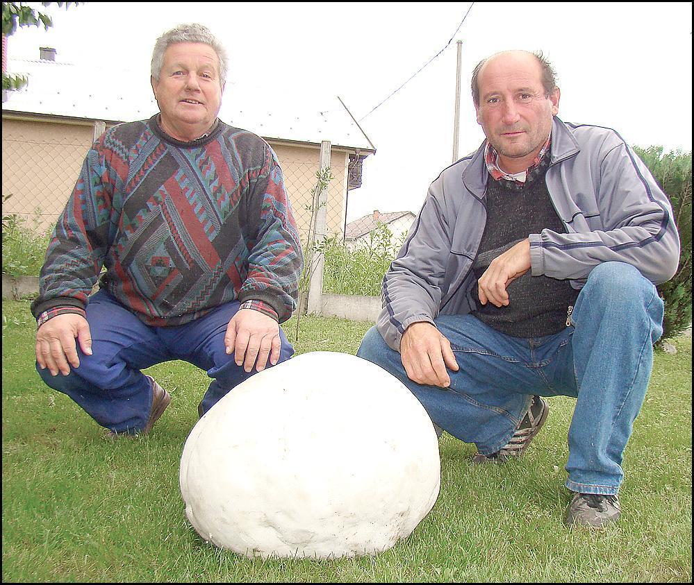 Puhara od 8 kilograma