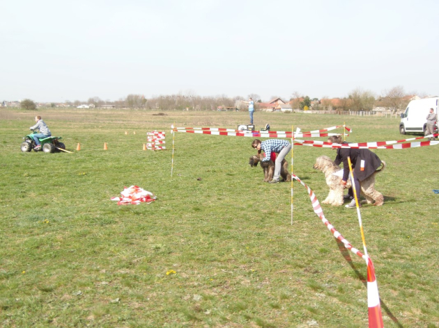 Hrtovi u lovu na umjetni mamac u Pribislavcu